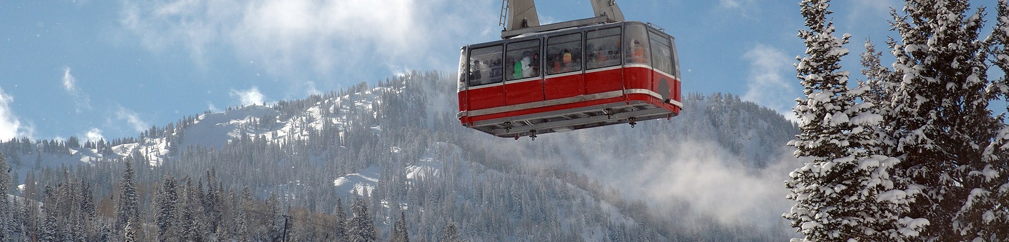Snowbird Daily Snow Report & Weather Forecast - SnowPak